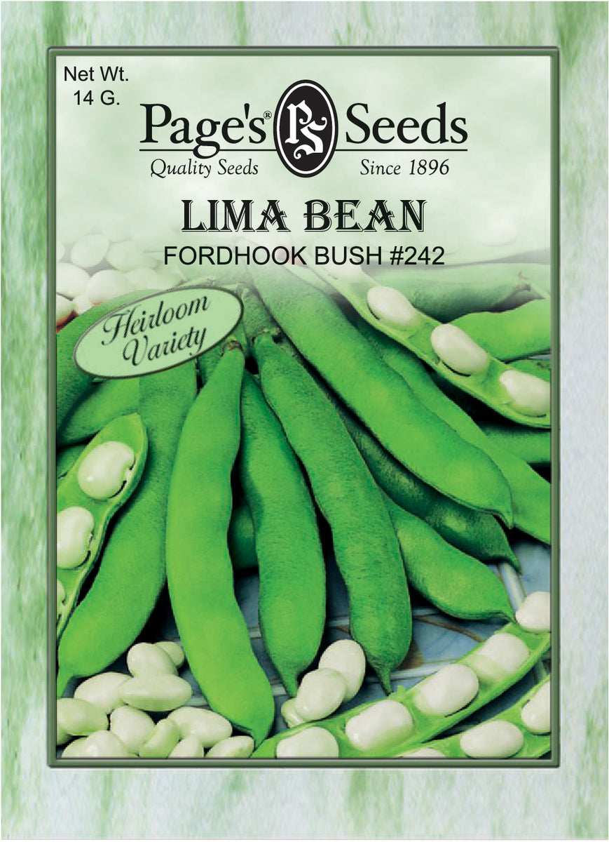 Lima Beans - Fordhook Bush - Packet of Seeds – Green Thumb Nursery