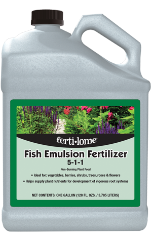 Fish Emulsion Fertilizer (1 Gal.) – Green Thumb Nursery