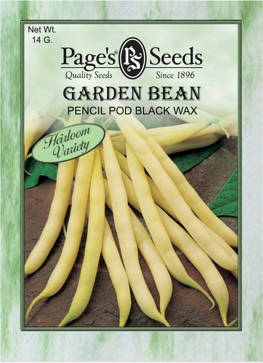 Garden Bean - Pencil Pod Black Wax - Packet of Seeds – Green Thumb Nursery