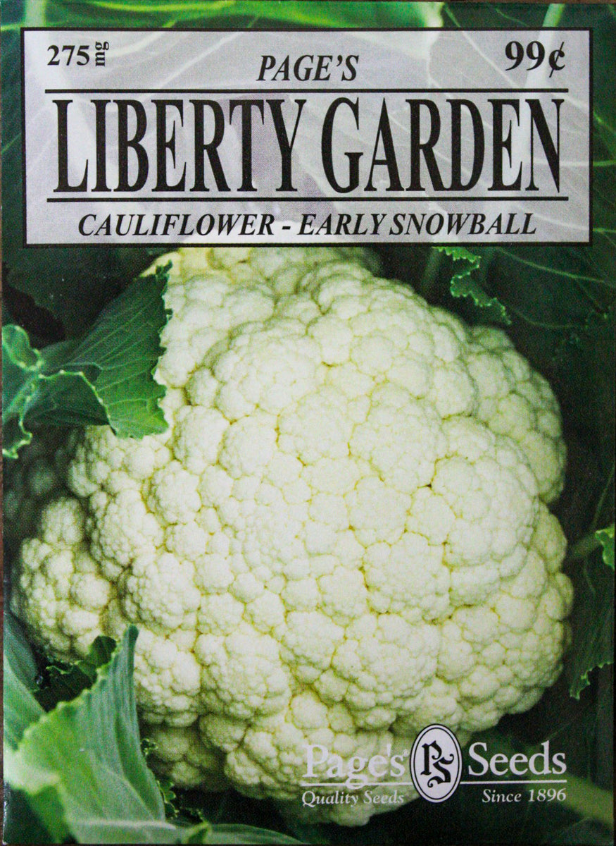 Cauliflower - Early Snowball - Packet of Seeds – Green Thumb Nursery